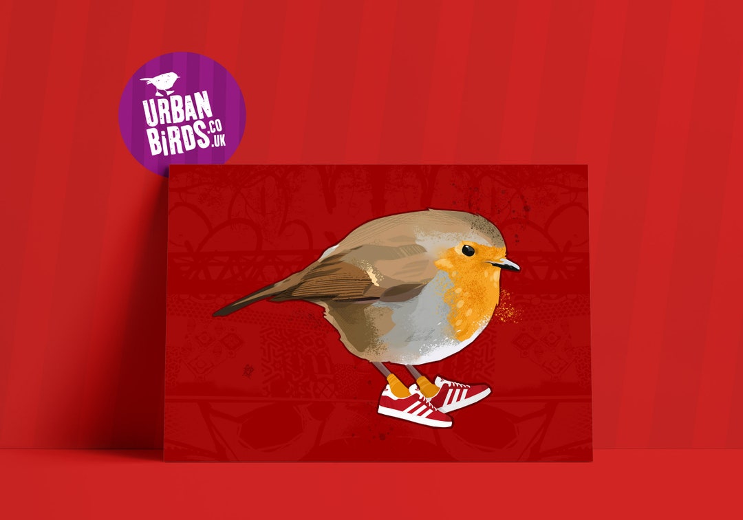 Robin Redbreast, Cool Bird Art, Cool Bird Print, British Birds, Bird ...