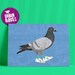Funky Pigeon Print, UK Birds, British Birds, Bird Print, Bird ...