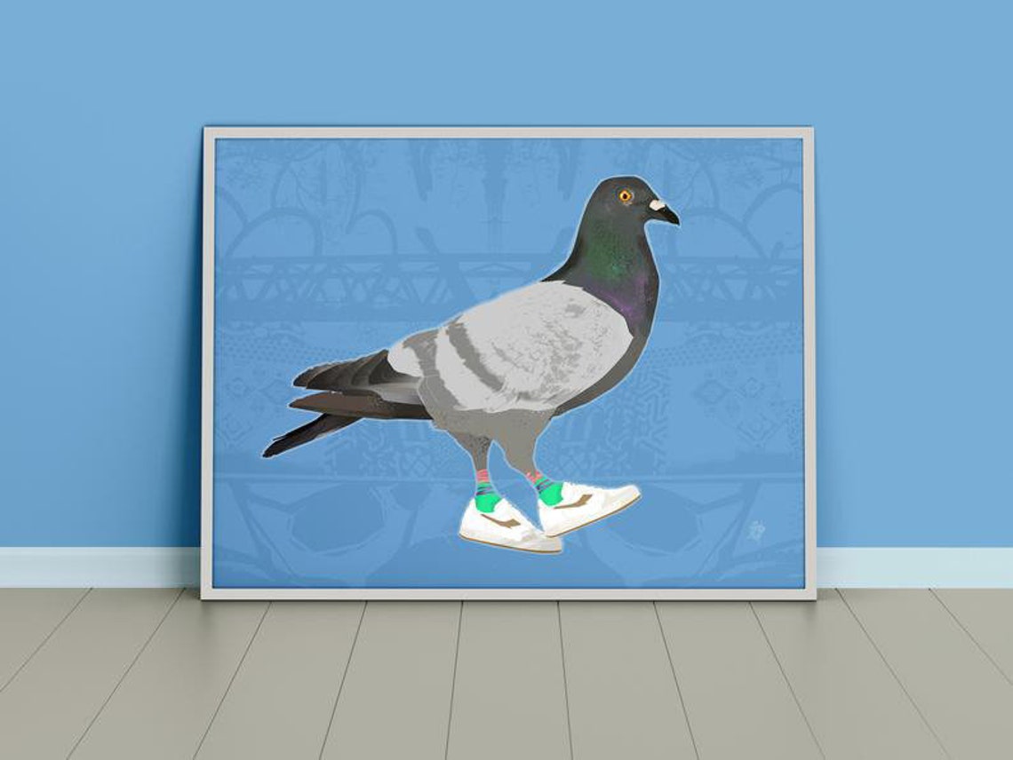 Funky Pigeon Print, UK Birds, British Birds, Bird Print, Bird ...