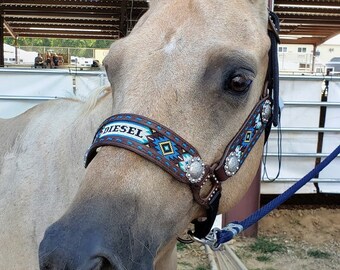 Custom Horse Halter - Etsy