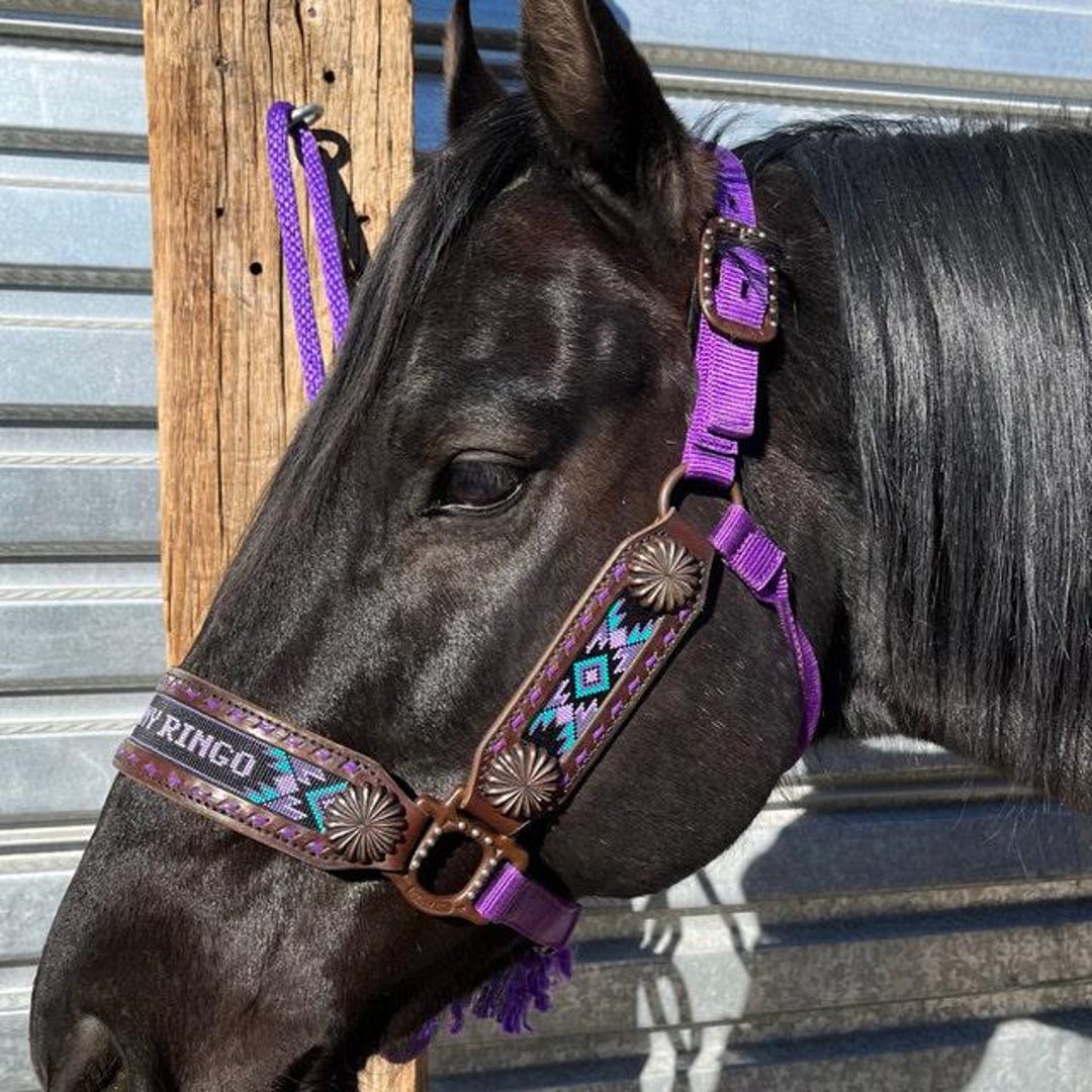 Personalized Leather Beaded Horse Halter (deluxe) - Featuring Purple ...