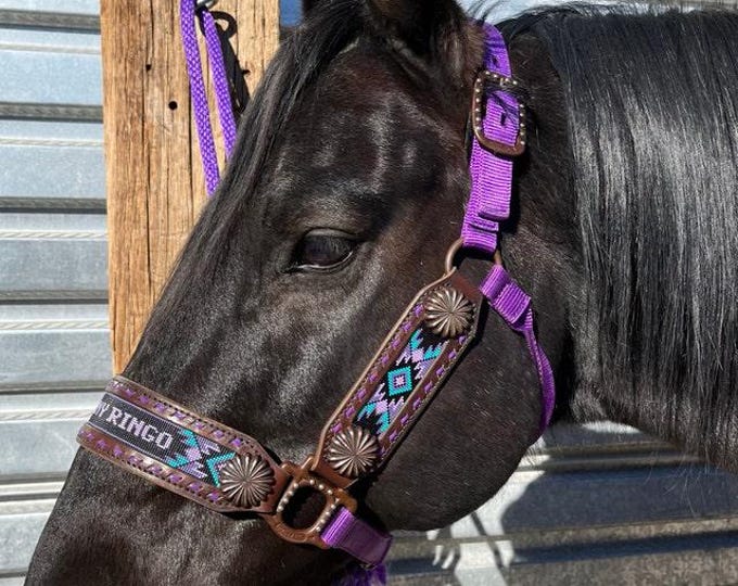 Personalized Leather Beaded Horse Halter (deluxe) - Featuring Purple ...