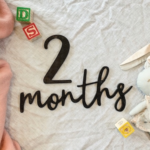 Baby Monthly Milestone Wood Cutouts Baby Shower Gift - Etsy Australia