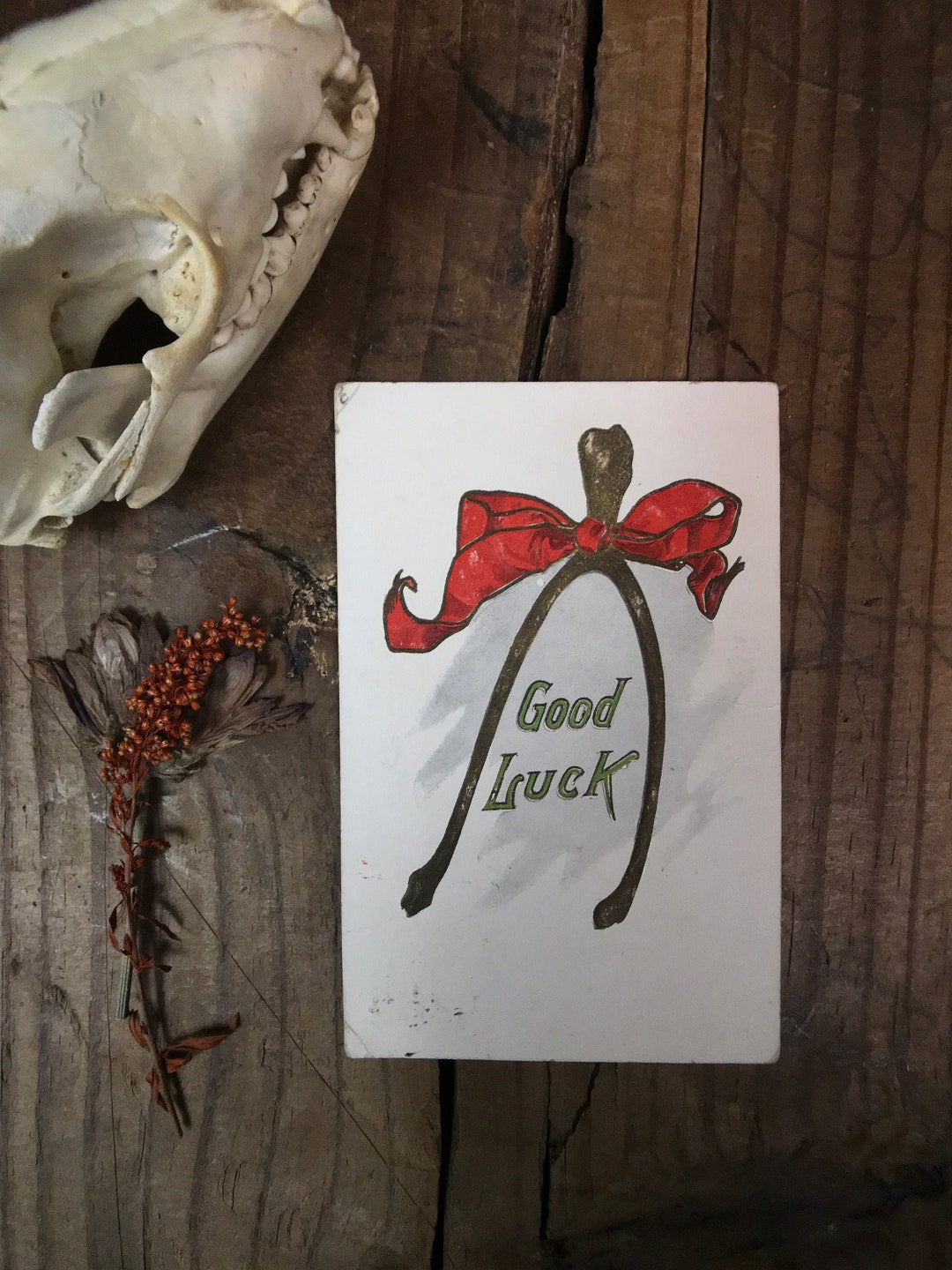 1907 Good Luck and Wish Bone Postcard // Antique Postcards // Used - Etsy