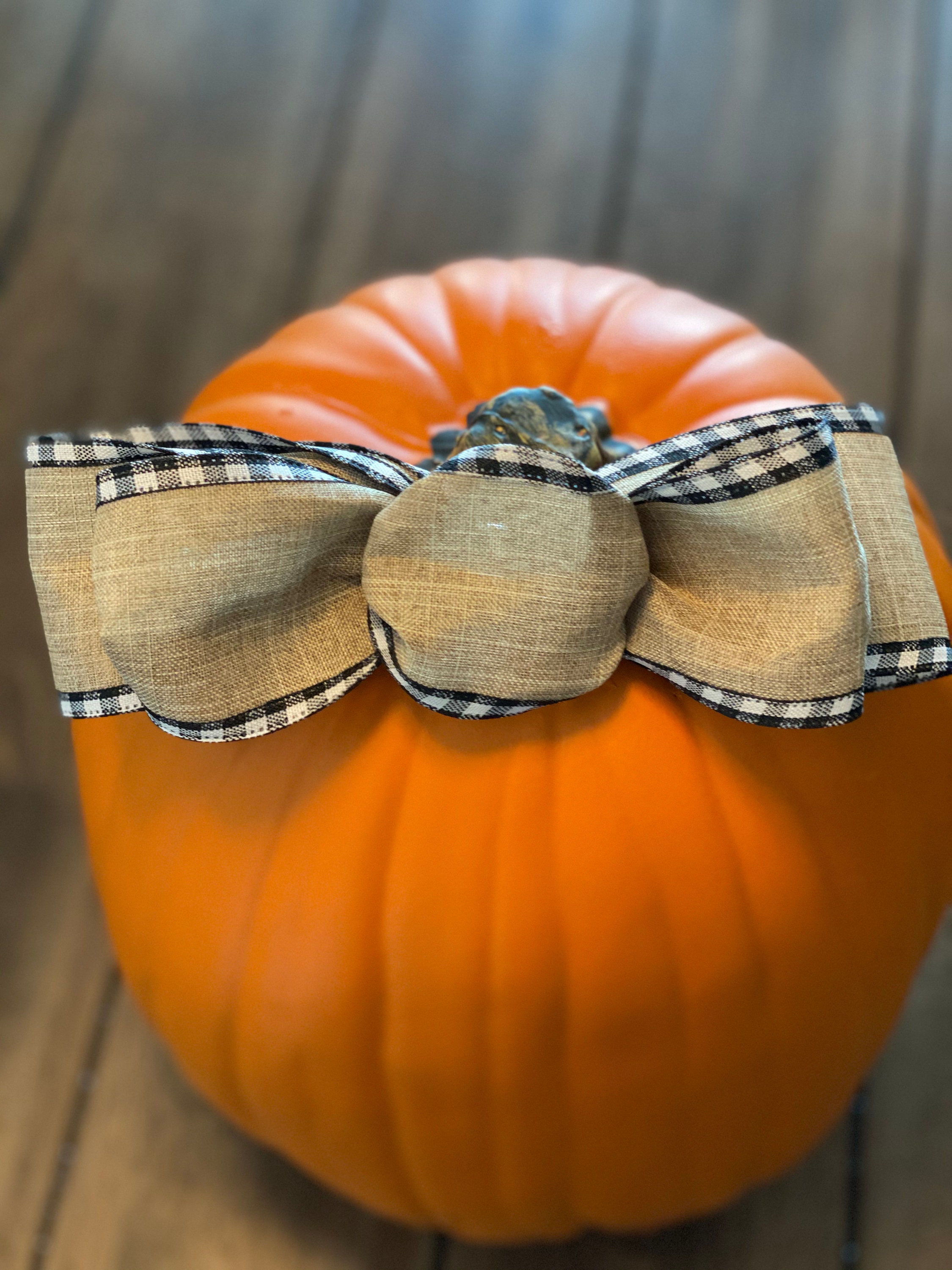 St. Louis Sports Inspired Pumpkins Cardinals Blues and | Etsy