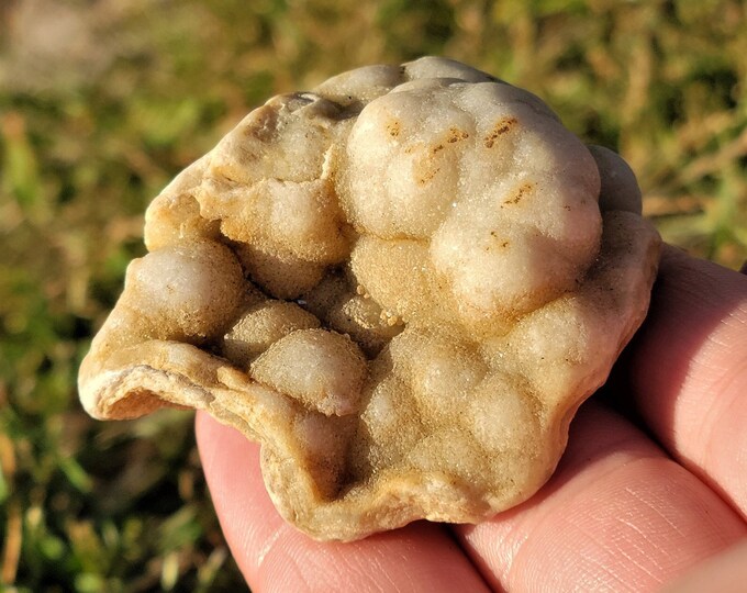 Coldwater Lace Agate Stromatolite Fossil Mississippi River Rock ...