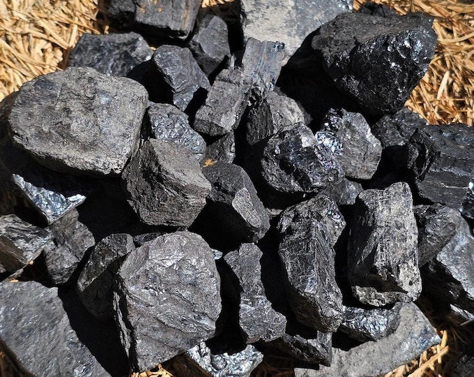 Bituminous Coal, Rare Coal, Pennsylvanian Coal, Alpena Michigan, Great ...