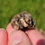 Dark Banded Flint Chert, Red Hematite, Yellow Limonite, Natural Shine ...