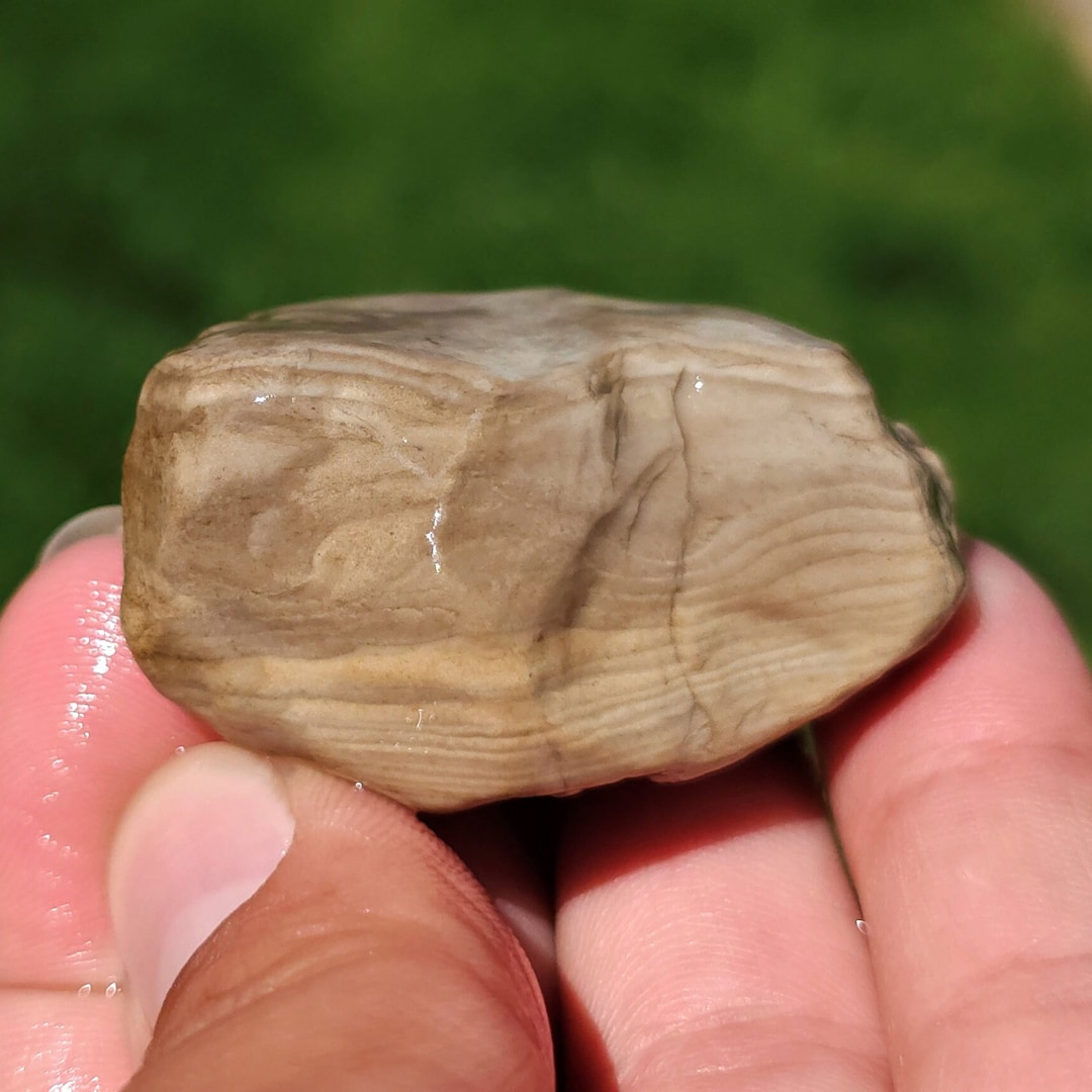 Banded Chert Rock, Striped Flint, Hematite & Manganese Inclusions ...