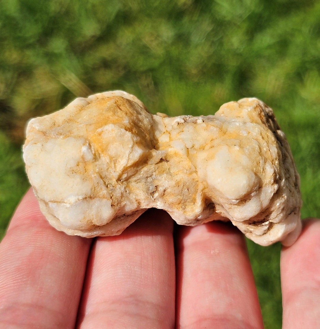 Cauliflower Quartz Geode, Geodized Marine Fossil, Mississippian Age ...
