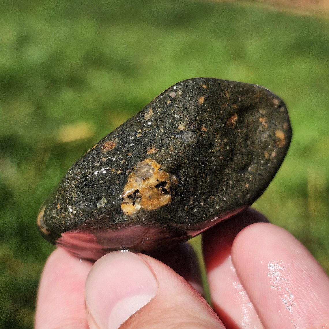 Gowganda Tillite Conglomerate, Puddingstone Breccia, Granite Pebbles ...
