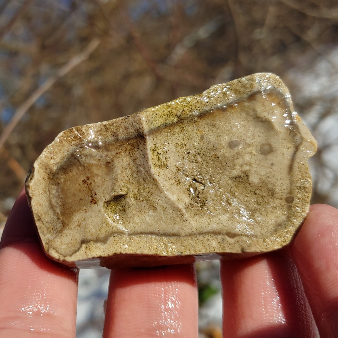 Banded Flint Chert Mineral Stone W Manganese Paleozoic Michigan 48g Raw ...