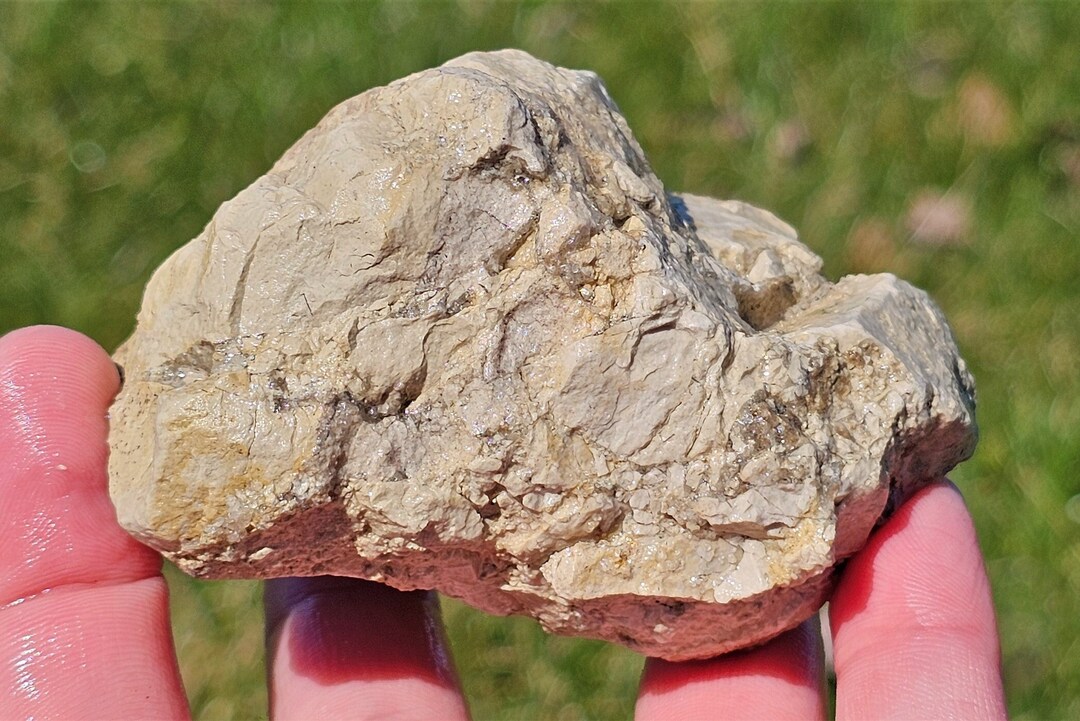 Mackinac Breccia Rock, Calcite Druzy, Dolostone, Shale, Limestone, Rare ...