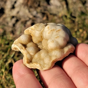 Coldwater Lace Agate Stromatolite Fossil Mississippi River Rock ...