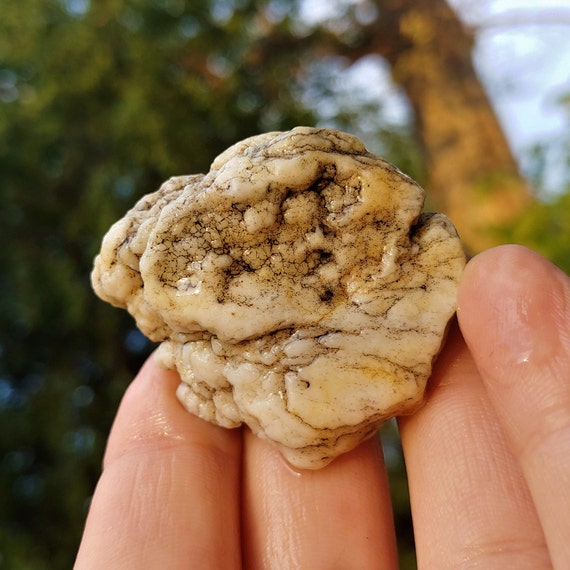 Beautiful Cauliflower Quartz Chert Geode Crystal Mineral w/ | Etsy