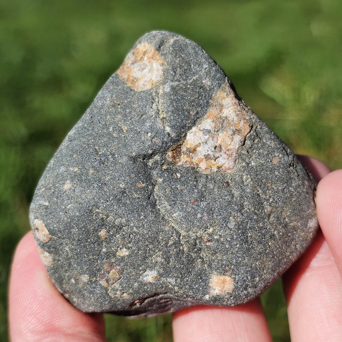 Gowganda Tillite Conglomerate, Puddingstone Breccia, Granite Pebbles ...