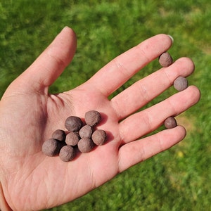 Taconite Iron Ore Pellets, 30+ Grams | 12-14 per Set, Upper Peninsula ...