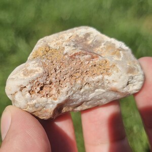 Oolitic Agatized Fossil Pseudomorph, Silicified Coral or Sponge Fossil ...