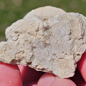 Mackinac Breccia Rock, Calcite Druzy, Limestone Conglomerate, Dolostone ...