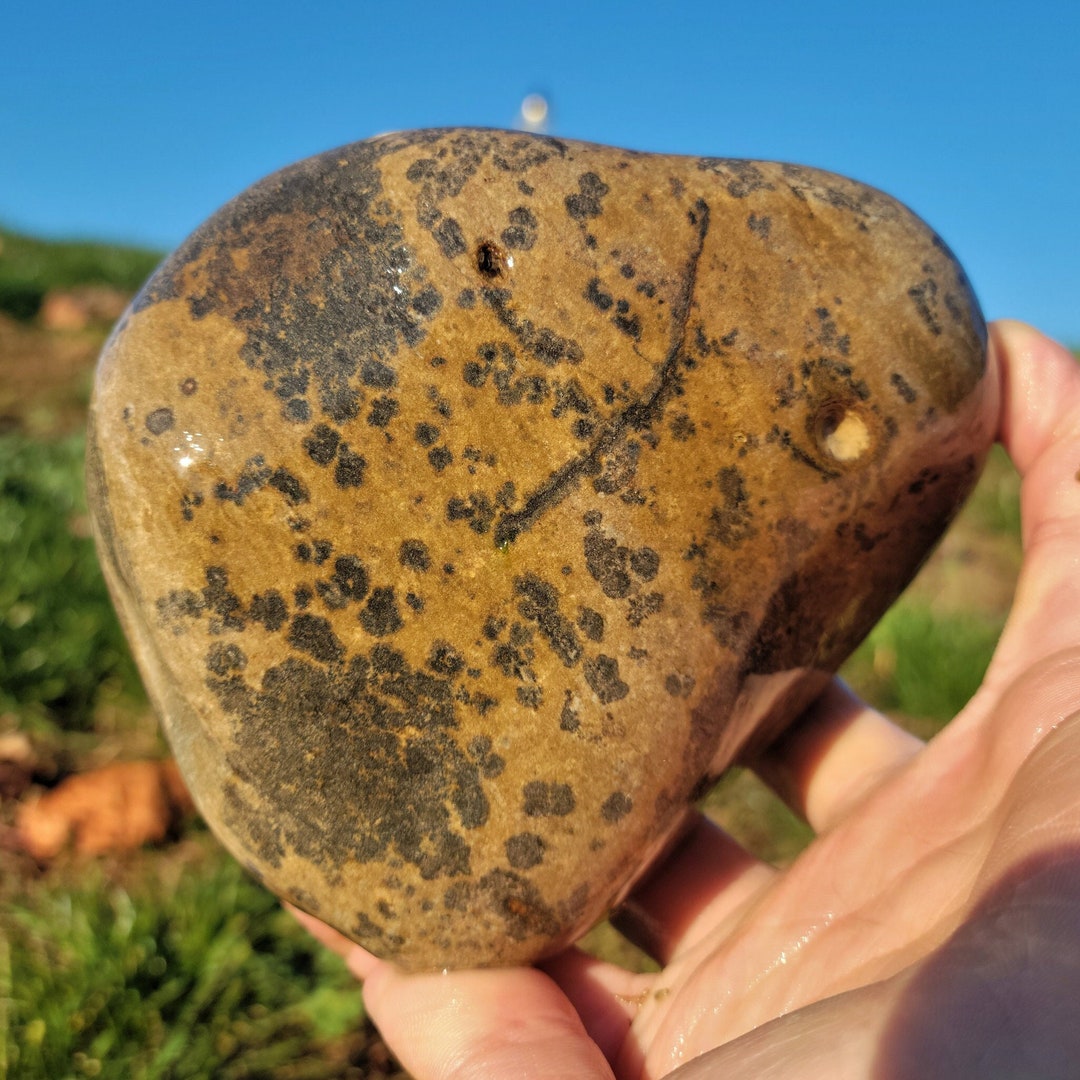 Extra Large Dendritic Limestone Mineral Manganese Oxide Dendrites ...