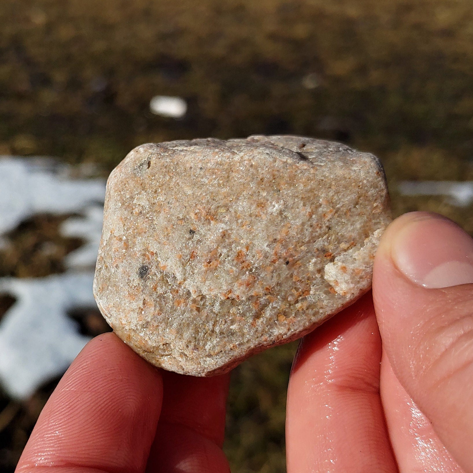 Medium Puddingstone Conglomerate Quartz Speckled W Peach - Etsy UK