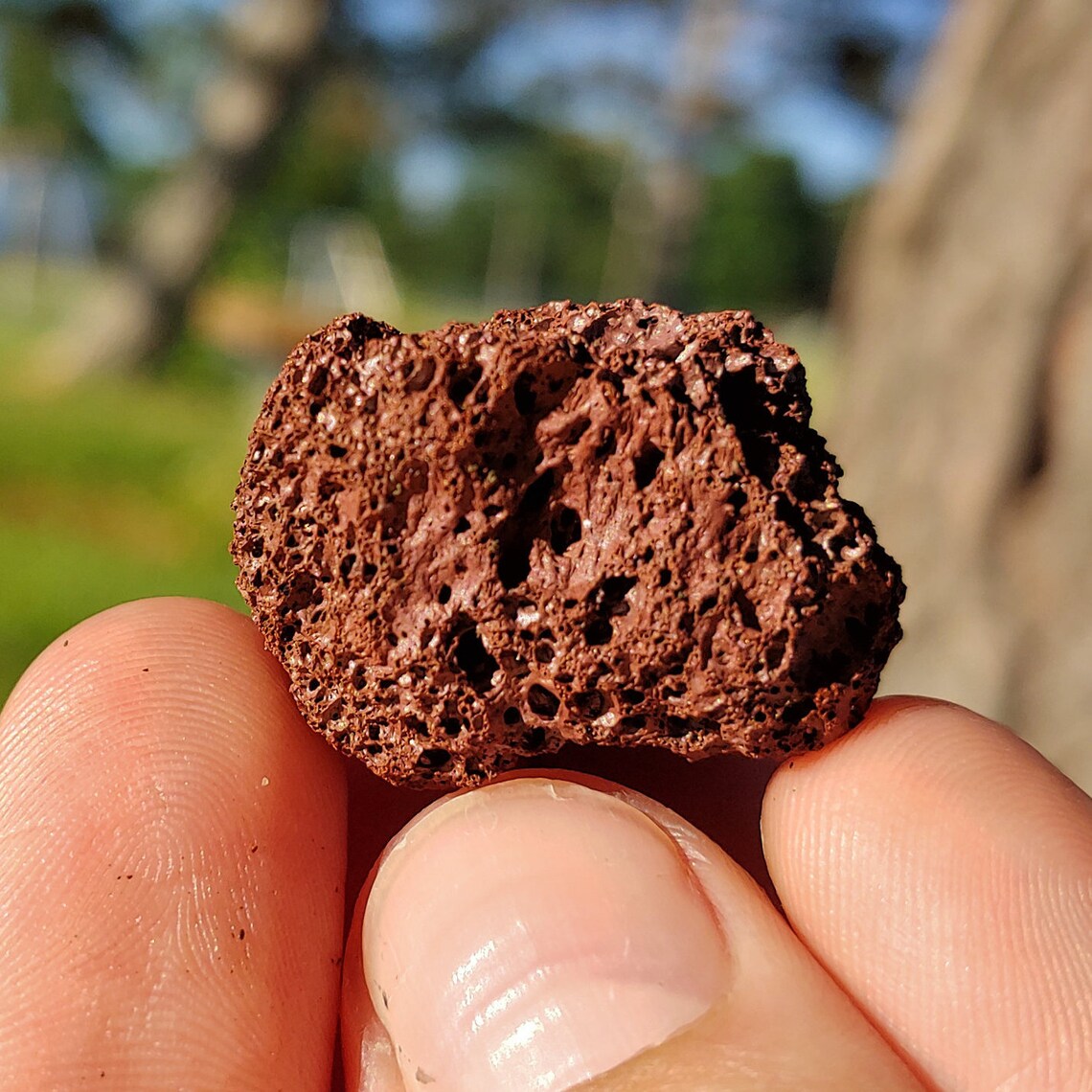 Small Red Pumice Scoria Lava Rock GUARANTEED Float 3.1g | Etsy