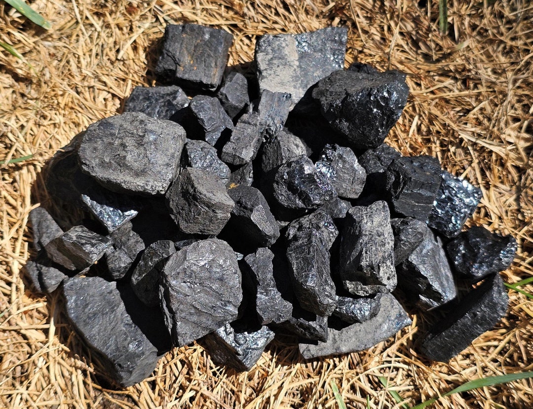 Bituminous Coal, Rare Coal, Pennsylvanian Coal, Alpena Michigan, Great ...