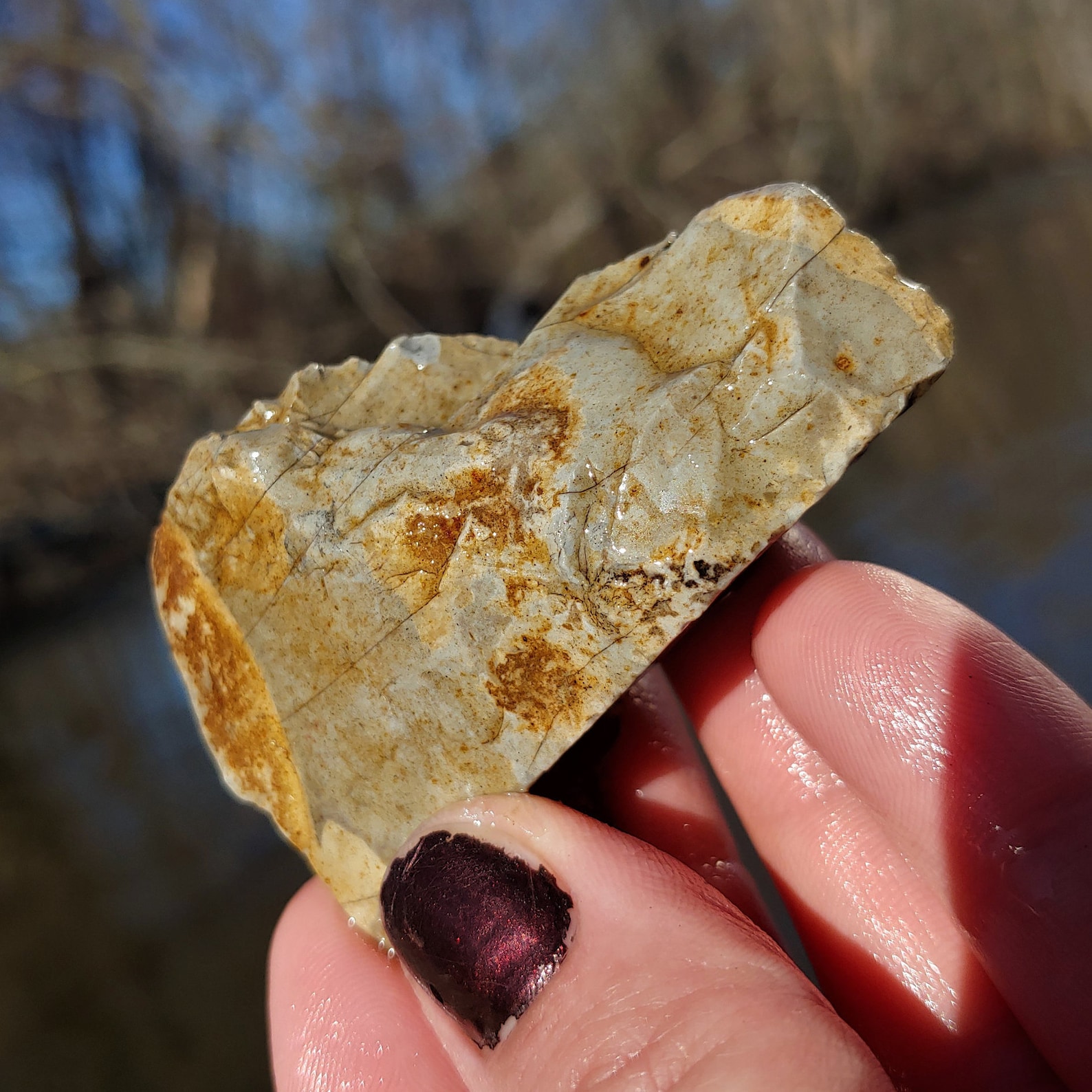 Large Grey Flint Chert Mineral Stone Covered by Black & | Etsy