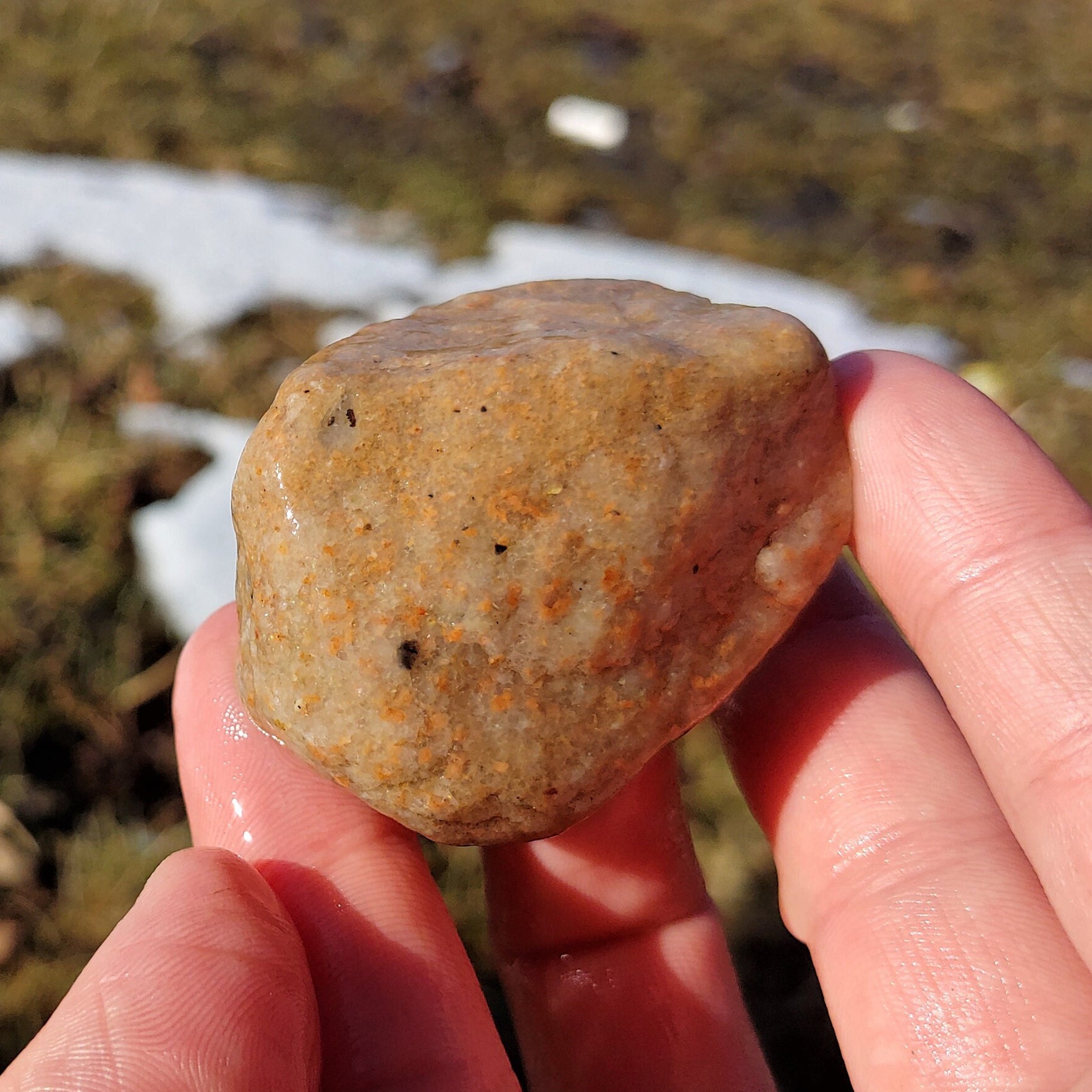 Medium Puddingstone Conglomerate Quartz Speckled W Peach - Etsy UK
