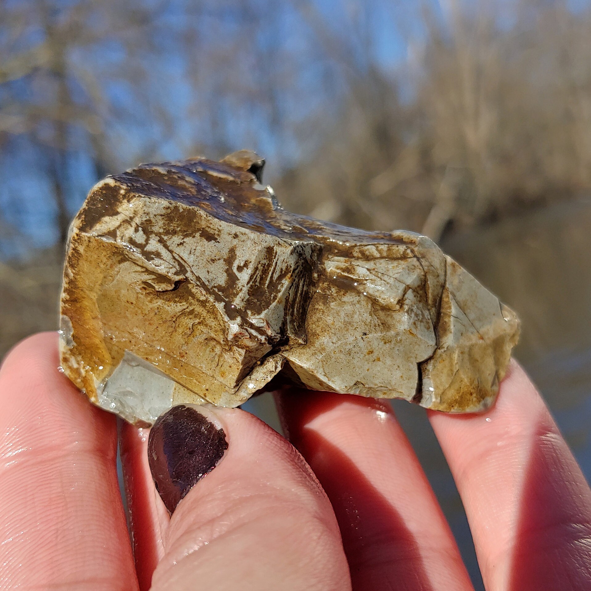 Large Grey Flint Chert Mineral Stone Covered by Black & | Etsy