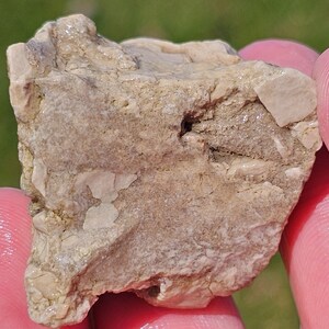 Mackinac Breccia Rock, Calcite Druzy, Limestone Conglomerate, Dolostone ...