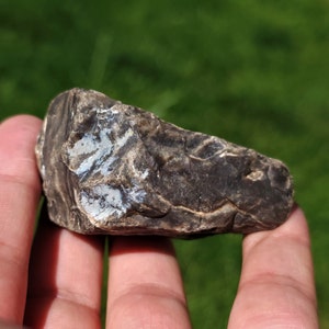 Dark Banded Flint Chert, Red Hematite, Yellow Limonite, Natural Shine ...