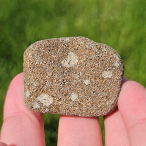 Porphyritic Basalt, Plagioclase Feldspar, Visible Pyroxene, Precambrian ...