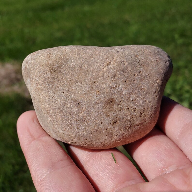 Large Shiny Dendritic Limestone Jasper Mineral w Heavy | Etsy