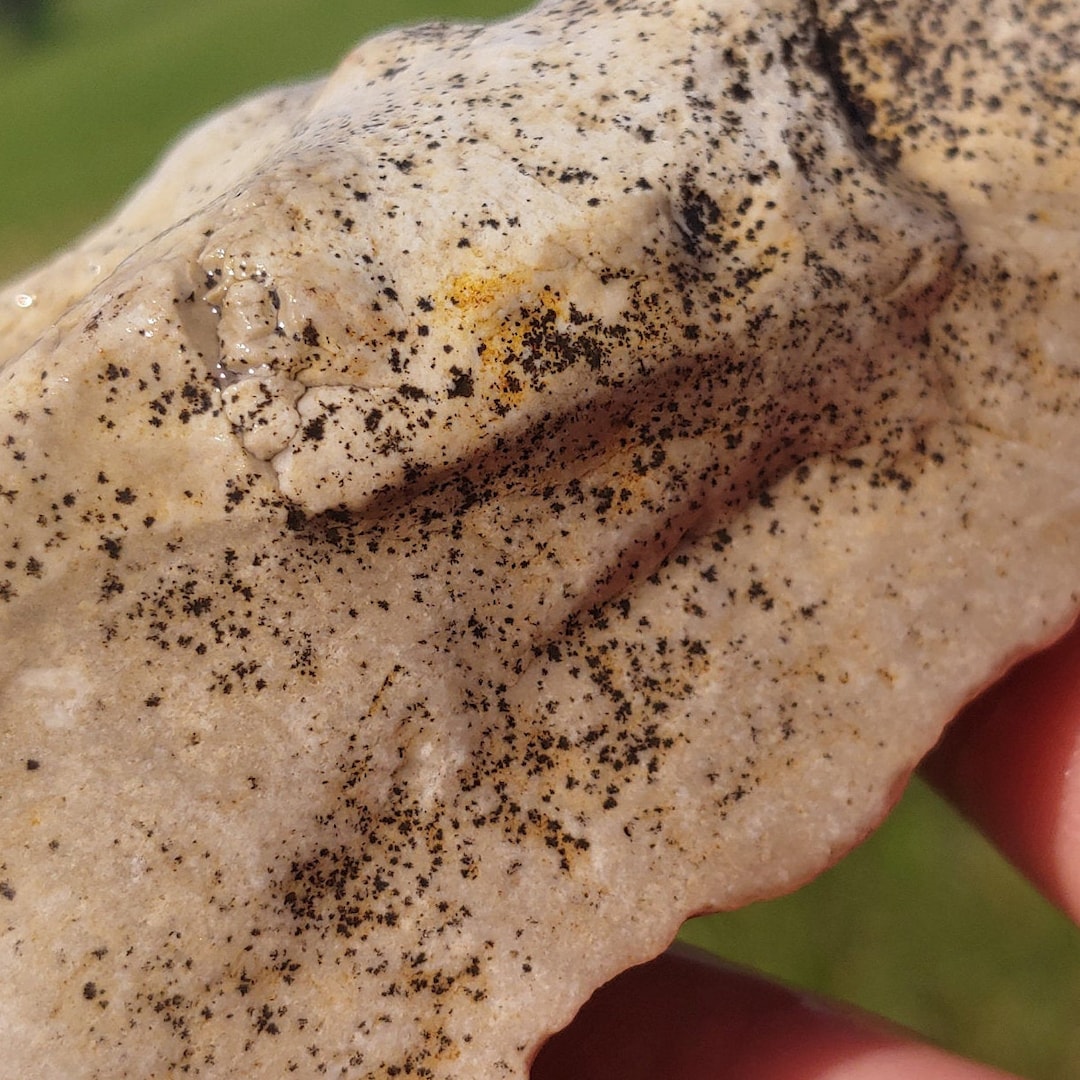 Large Soft Dendritic Limestone Rock Manganese Oxide Dendrites Crystals ...