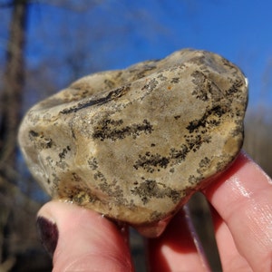 Dense Dendritic Limestone Rock, Manganese Dendrites Crystals ...