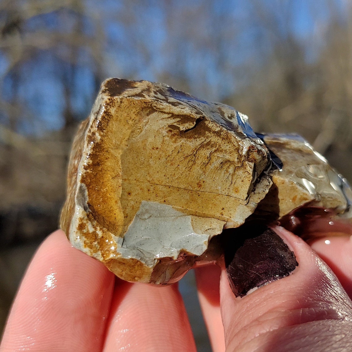 Large Grey Flint Chert Mineral Stone Covered by Black & - Etsy