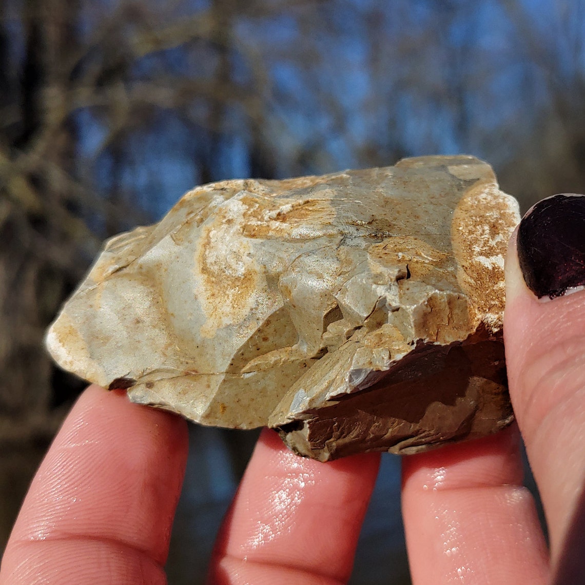 Large Grey Flint Chert Mineral Stone Covered by Black & - Etsy