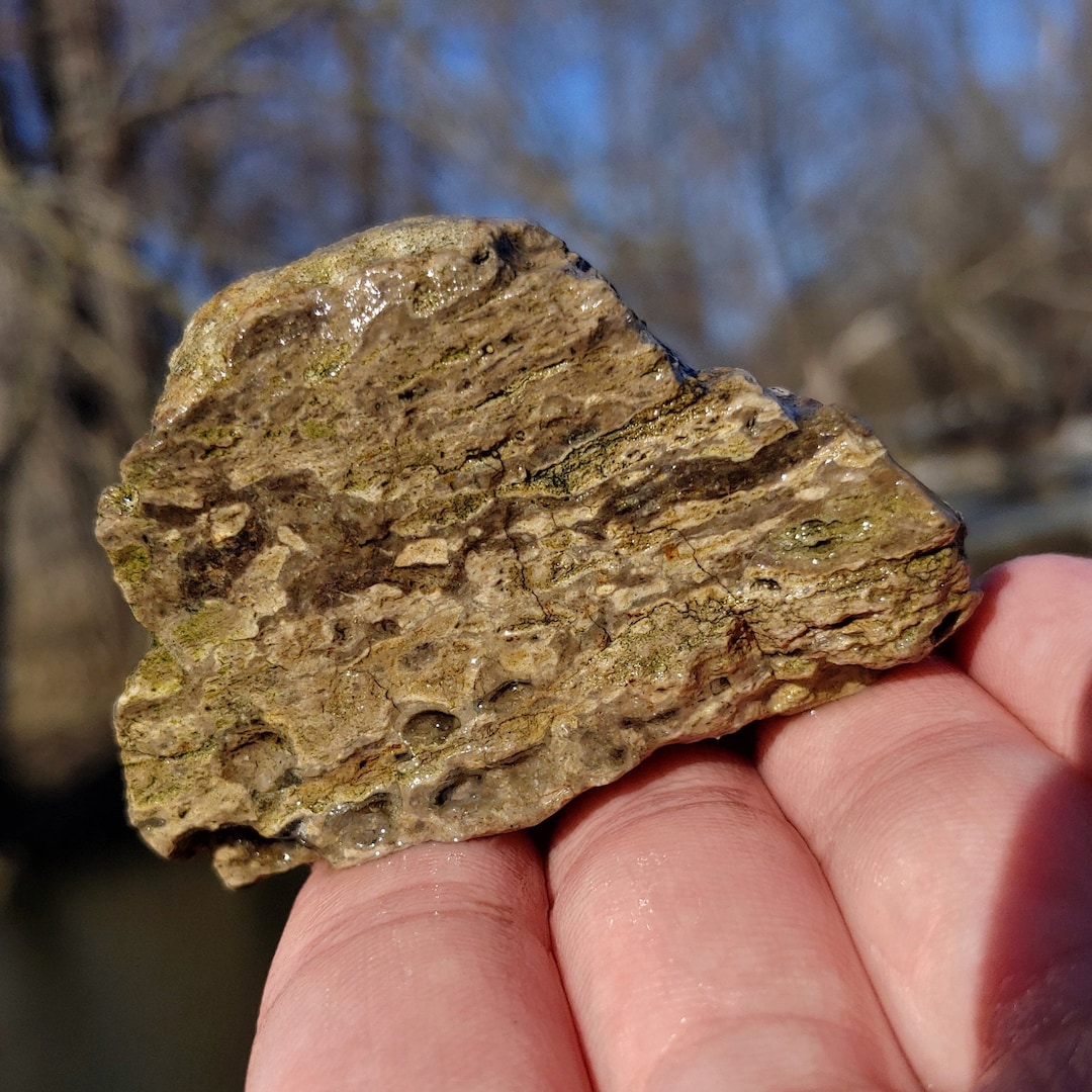 Large Banded Grey Flint Chert Mineral Stone W Druzy Vugs Paleozoic ...