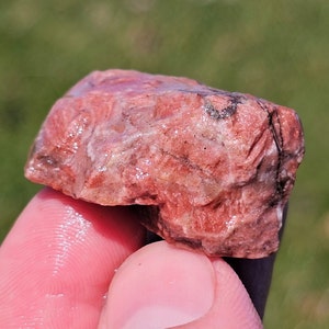 Kona Dolomite, Stromatolite Fossil, Large Pink Dolomite Crystals, Rare ...