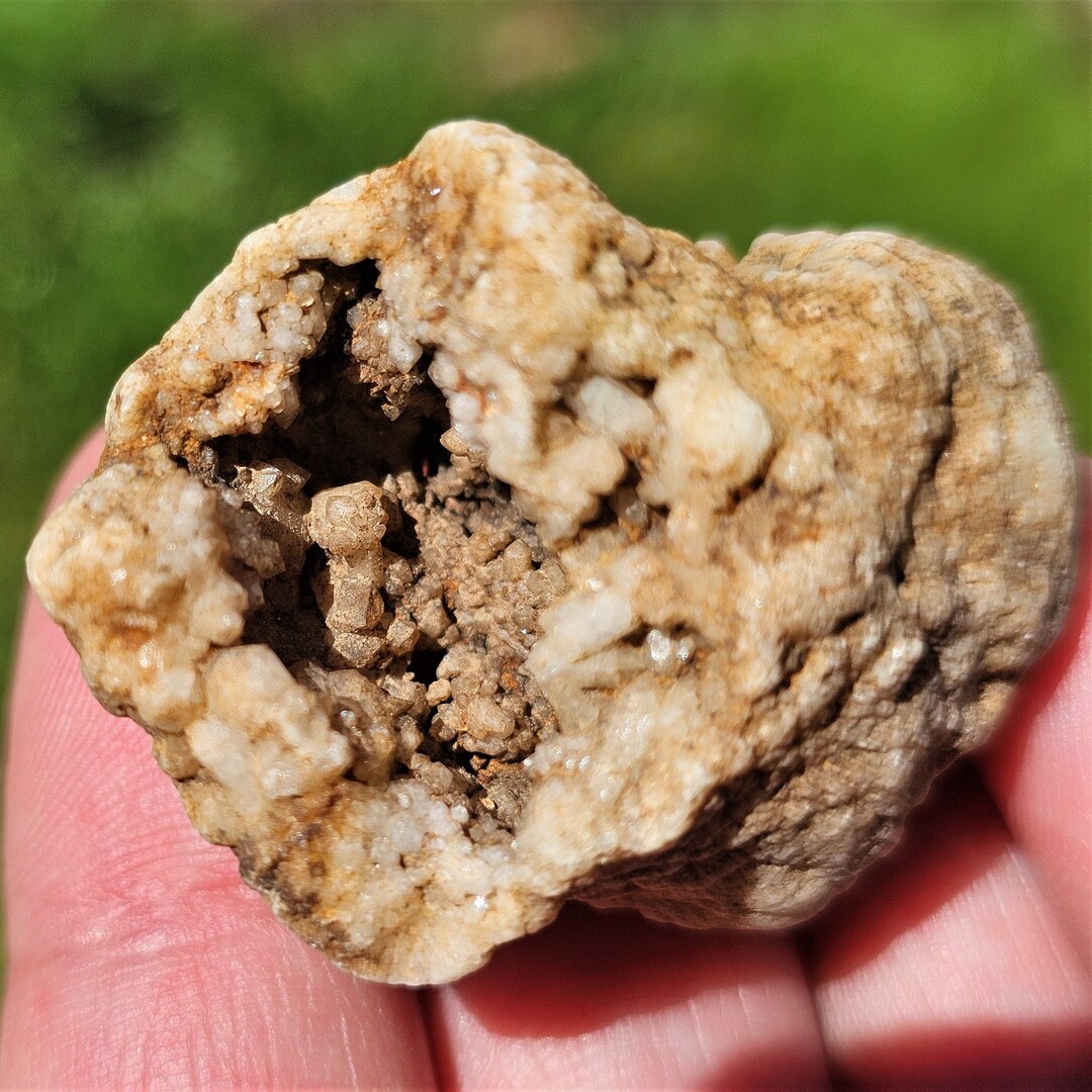 Cauliflower Quartz Geode, Geodized Fossil, Anhydrite Pseudomorph ...