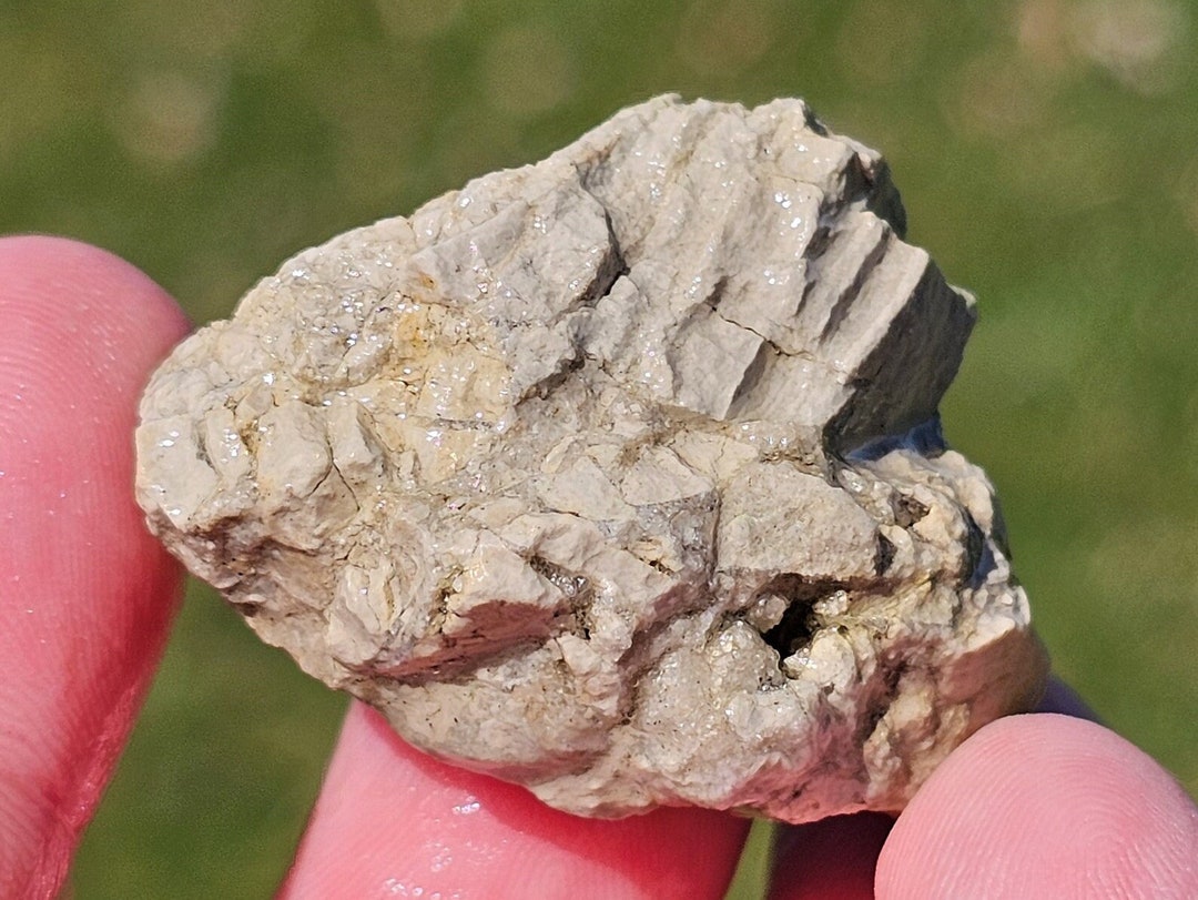 Mackinac Breccia Rock, Calcite Druzy, Limestone Conglomerate, Dolostone ...