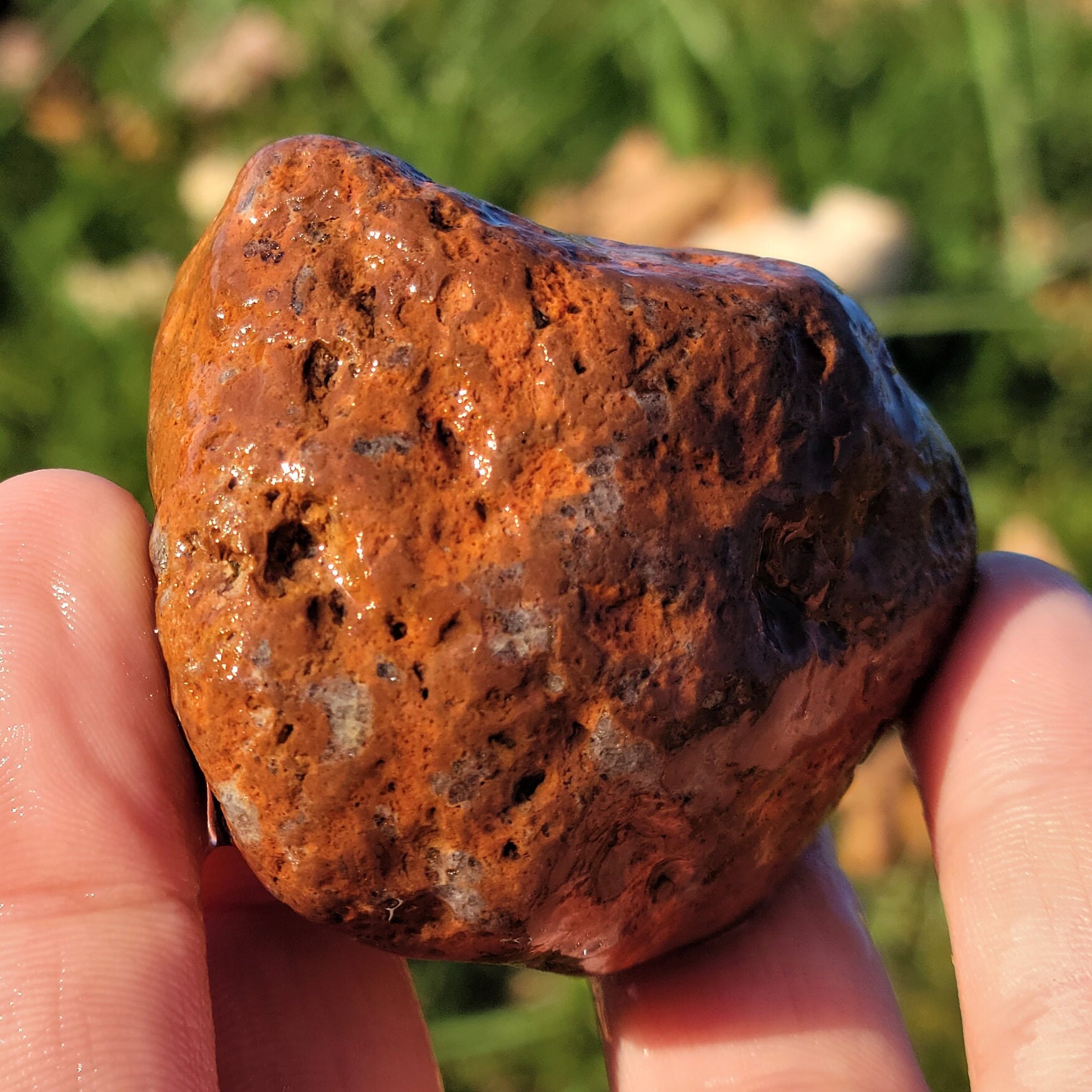 Large Vesicular Rhyolite Porphyry Volcanic Mineral Feldspar - Etsy