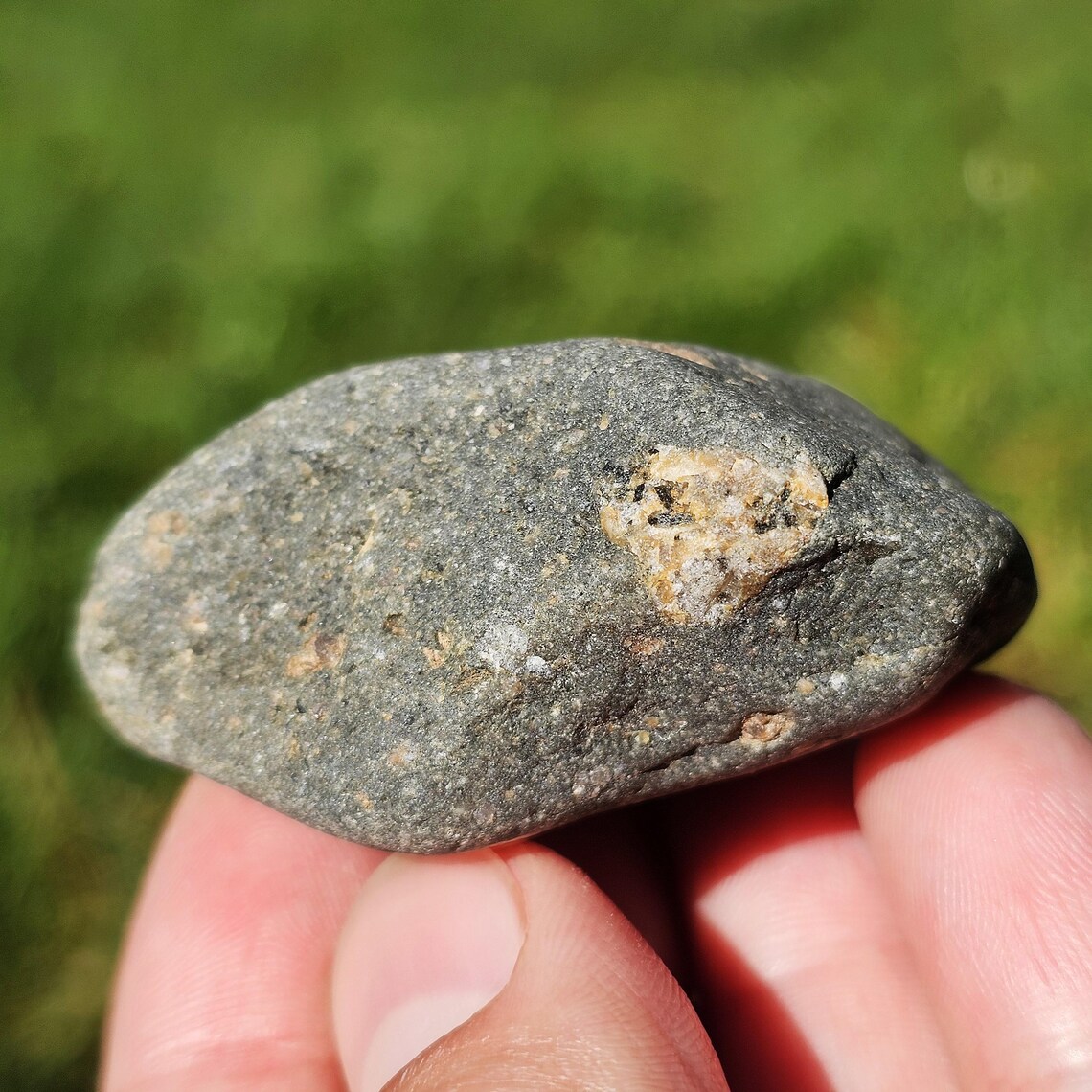 Gowganda Tillite Conglomerate, Puddingstone Breccia, Granite Pebbles ...