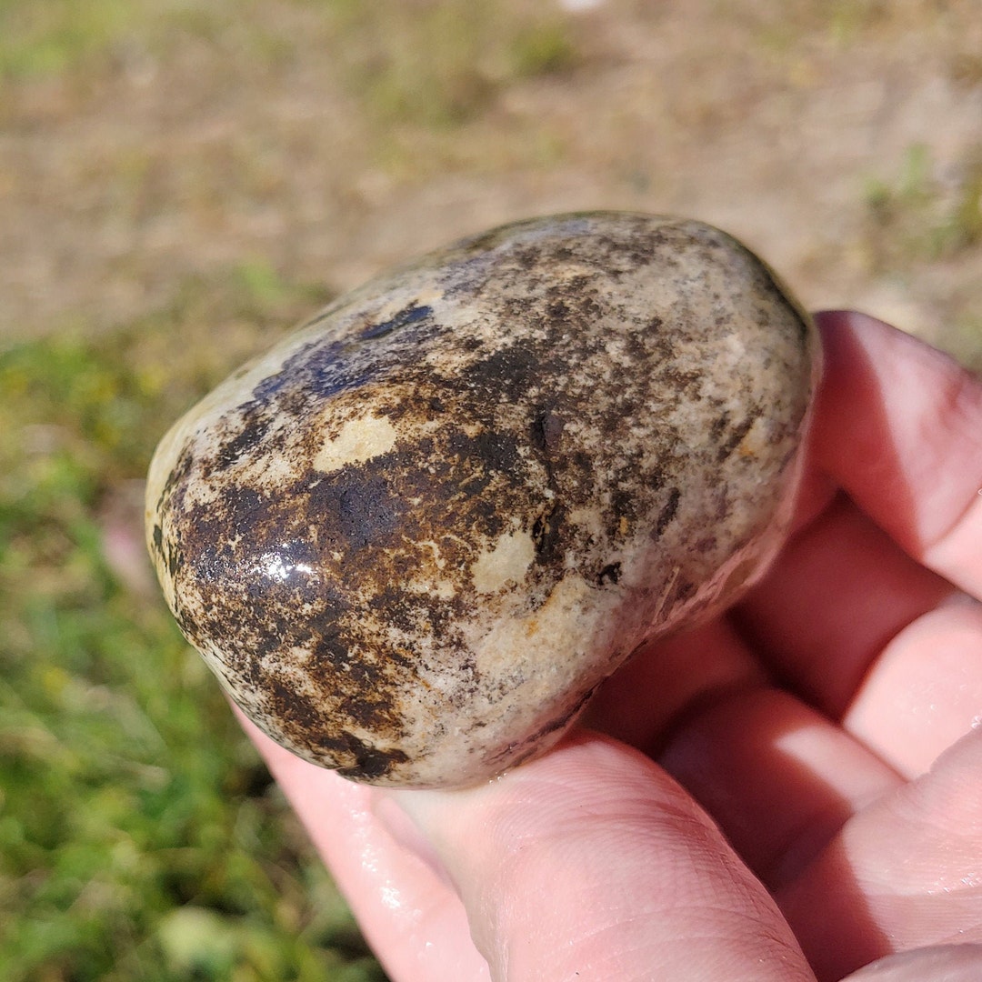 Medium Heavily Dendritic Limestone Rock, Manganese Oxide Dendrites ...