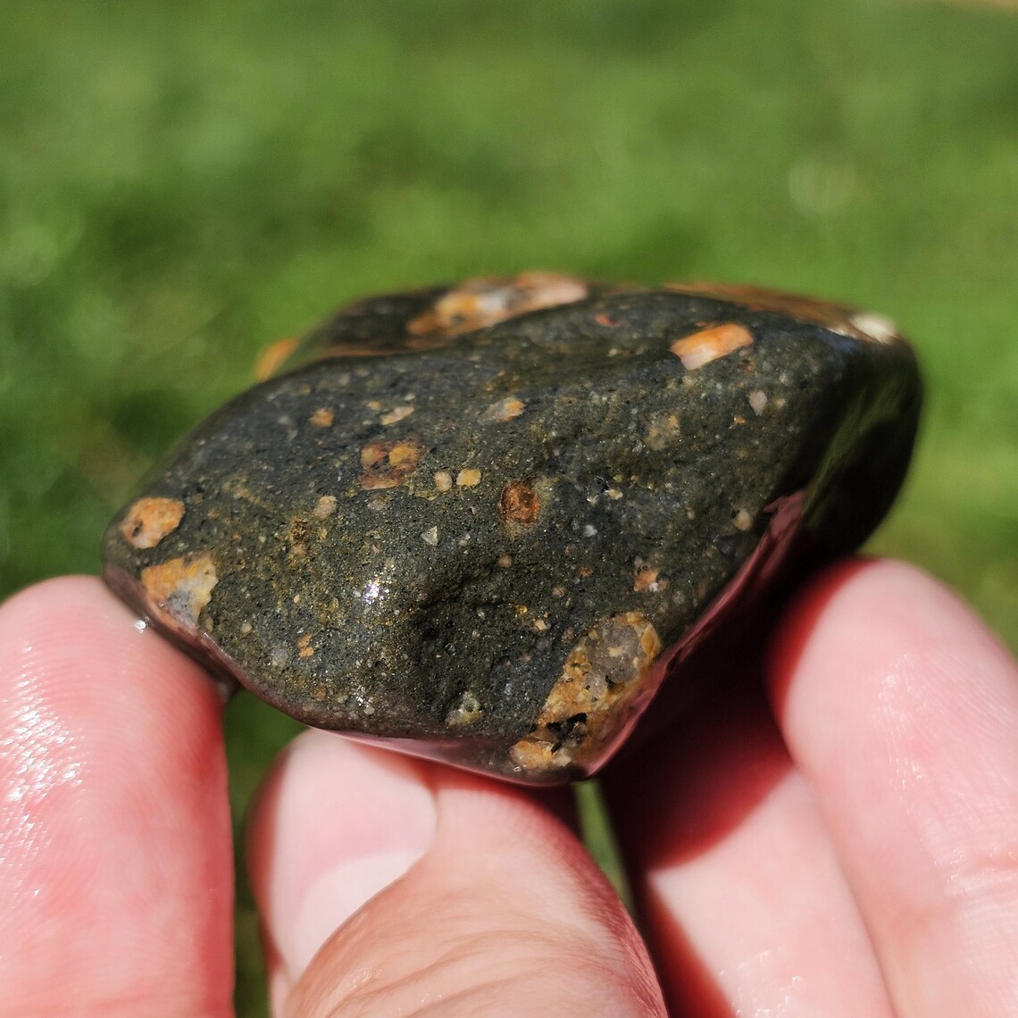 Gowganda Tillite Conglomerate, Puddingstone Breccia, Granite Pebbles ...