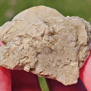 Mackinac Breccia Rock, Calcite Druzy, Limestone Conglomerate, Dolostone ...