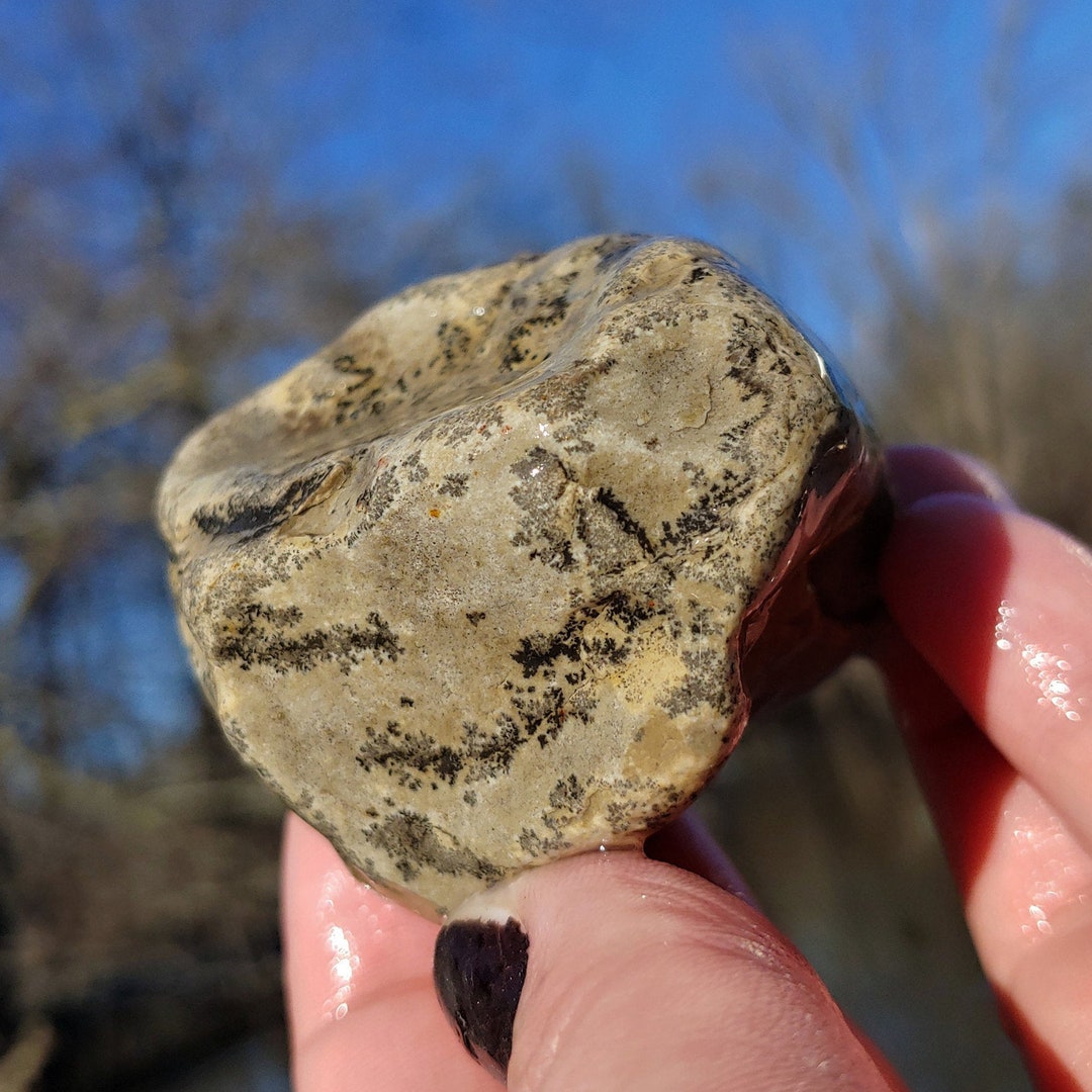 Dense Dendritic Limestone Rock, Manganese Dendrites Crystals ...