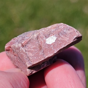 Kona Dolomite, Stromatolite Fossil, Large Pink Dolomite Crystals, Rare ...
