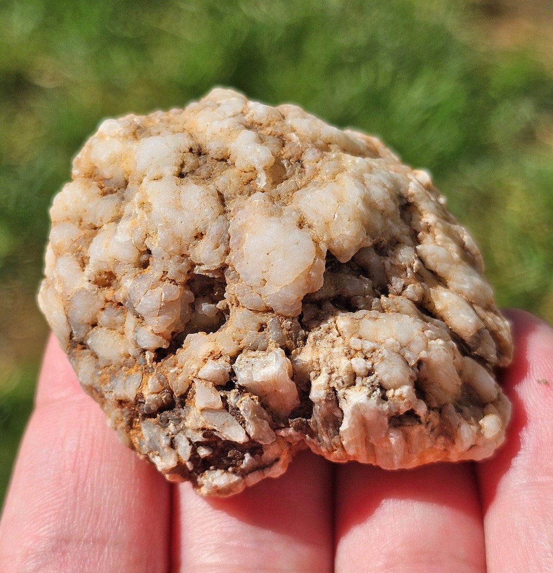 Cauliflower Quartz Geode, Geodized Fossil, Anhydrite Pseudomorph ...